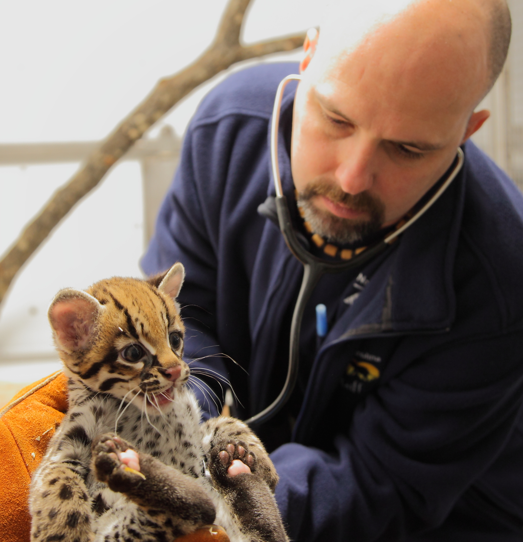 Minter_Larry – Environmental Medicine Consortium